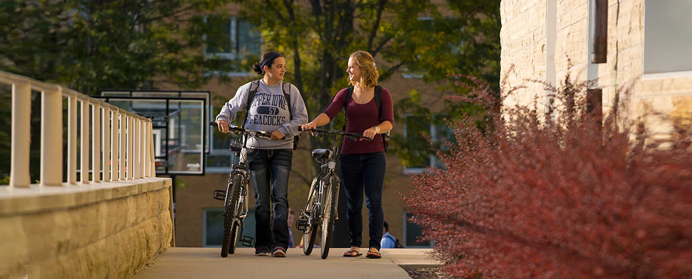 Student Life and Experience at Upper Iowa University