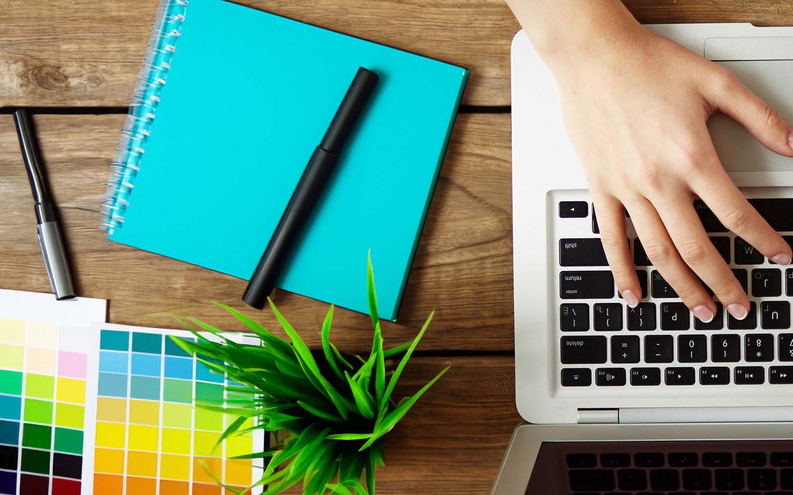 Bachelor’s Degree in Graphic Design, B.A. - Upper Iowa University